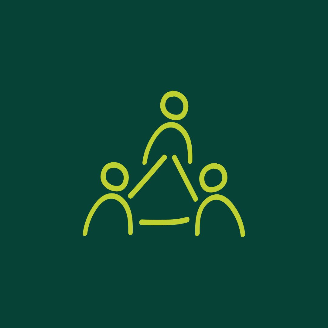 Consortium Member for Ireland's National Competence Centre for Social ...